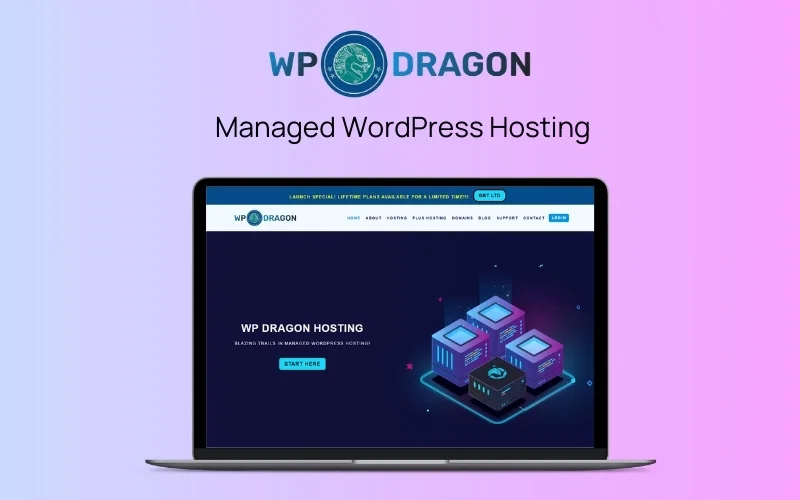 Wp Dragon Hosting Lifetime Deal - Wordpress Hosting Solutions Provider